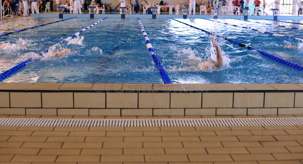 Swimming contest stock image. Image of competition, concentration - 9474587