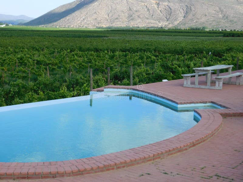 145 Grapes Pool Water Stock Photos - Free & Royalty-Free Stock Photos ...