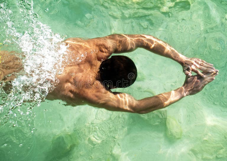 Swimming model stock image. Image of fitness, bodybuilder - 16410023
