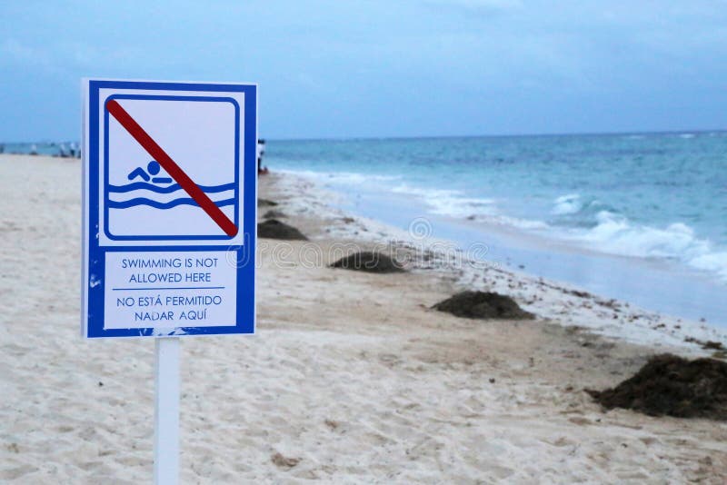 Swimming is Not Allowed Sign at the Beach Stock Image - Image of sign ...