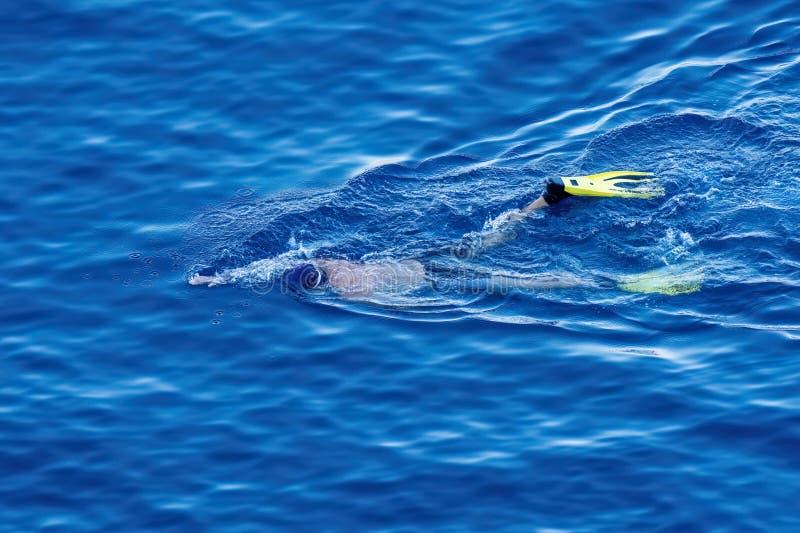 383 Female Professional Diver Stock Photos - Free & Royalty-Free Stock ...