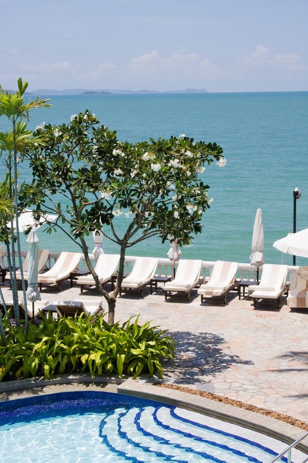 Swimming Pool in Spa Resort . Thailand . Stock Image - Image of ...