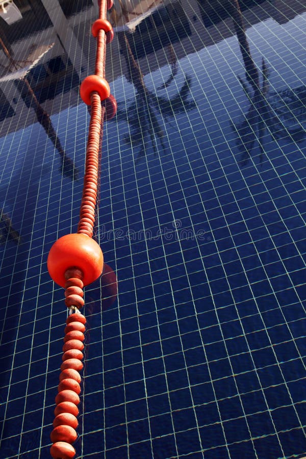 Swimming Pool Rope Anchor Stock Photos - Free & Royalty-Free Stock ...