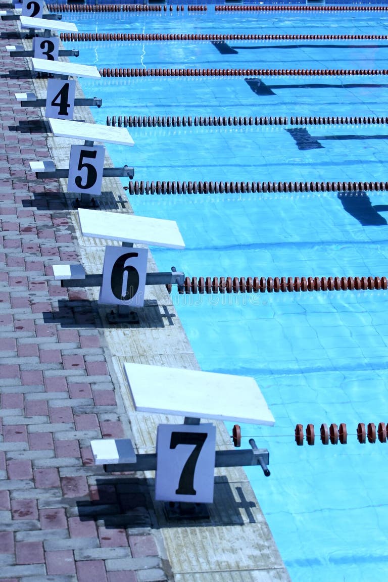 44,236 Pool Competition Stock Photos - Free & Royalty-Free Stock Photos ...