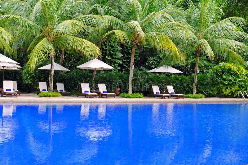 Swimming pool stock photo. Image of leisure, relaxation - 16812136