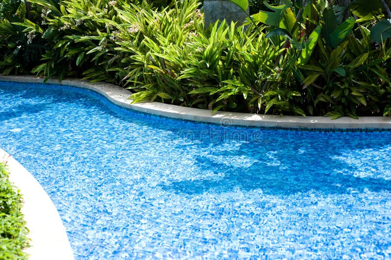 Swimming pool stock image. Image of outdoor, lush, leisure - 20814843