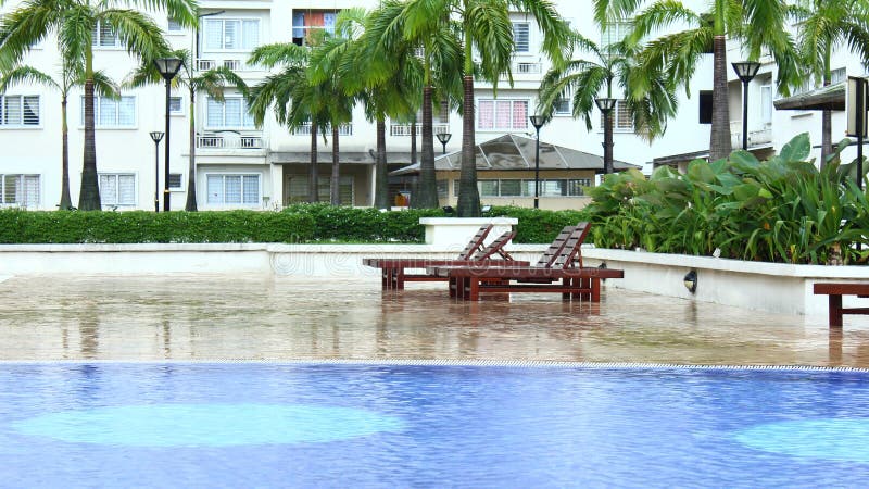 The Swimming Pool Area with Green Trees Stock Image - Image of pool ...