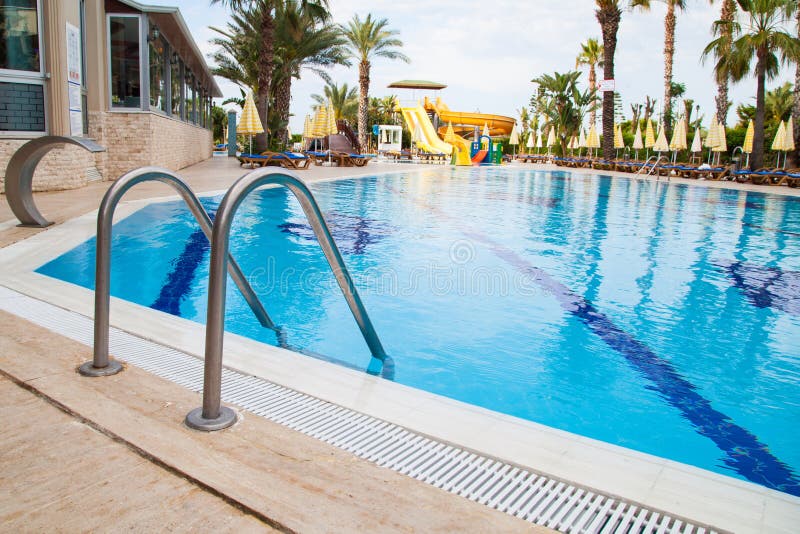 Wht Palms Stock Photos - Free & Royalty-Free Stock Photos from Dreamstime