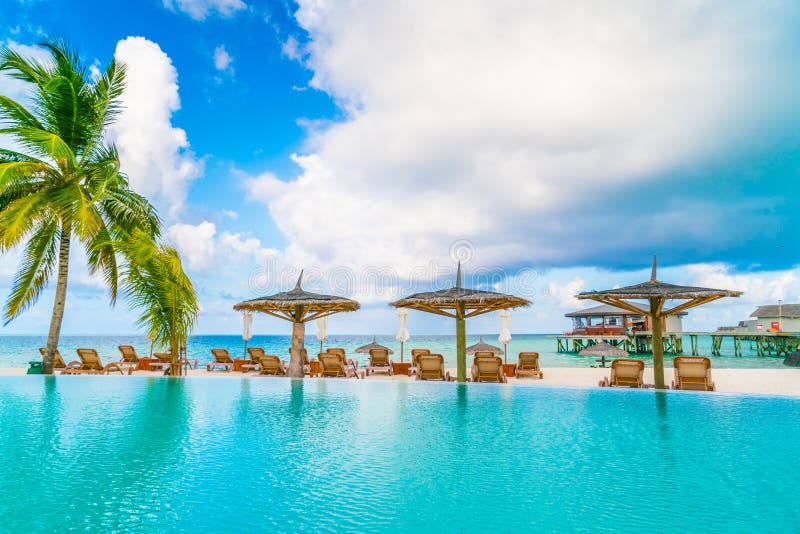 Swimming Pool Bar in Tropical Maldives Island . Stock Image - Image of ...