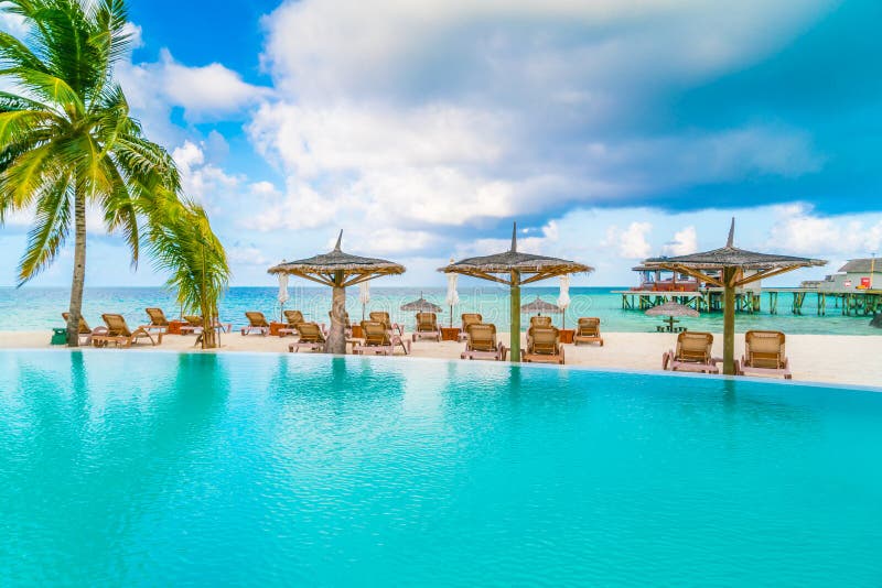Swimming Pool Bar in Tropical Maldives Island . Stock Photo - Image of ...