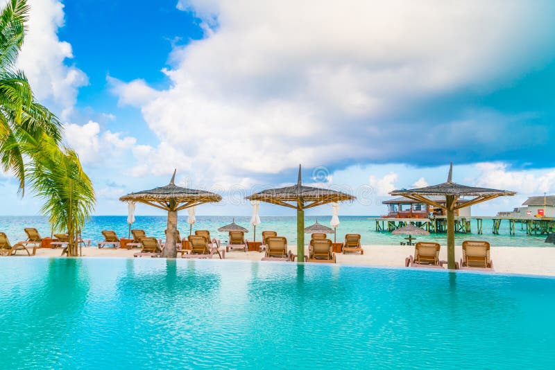 Swimming Pool Bar in Tropical Maldives Island . Stock Image - Image of ...