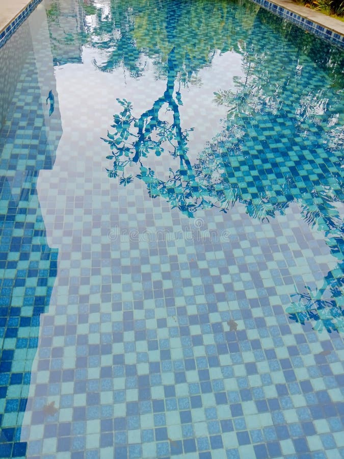 Swimming Pool Behind the House Stock Image - Image of house, swimming ...