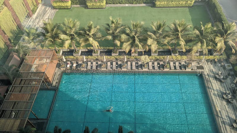 Swimming Pool Bird S Eye View Stock Image - Image of birds, view: 210840321