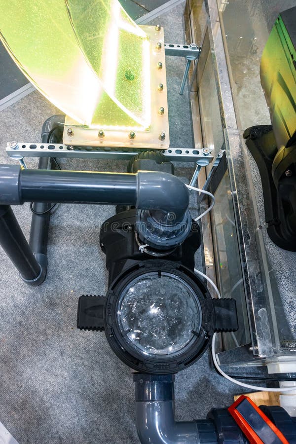 Swimming Pool Circulation Pump with Prefilter, Coarse Filter Stock ...