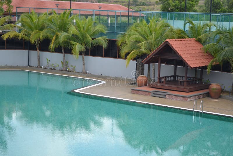 Swimming Pool with Coconut Tree Stock Image - Image of holiday, rest ...