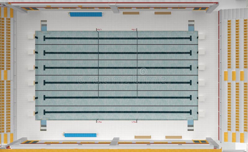 Swimming Pool for Competitions Top View Stock Illustration ...