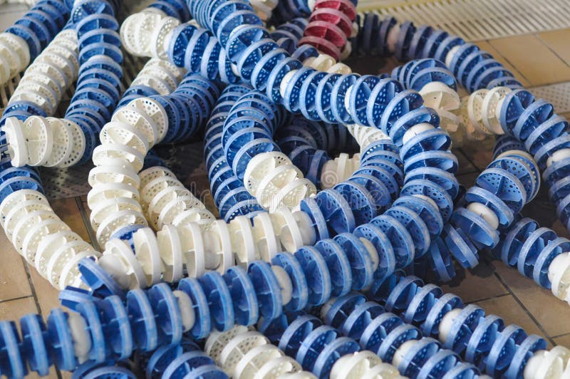 Swimming Pool Float Line stock image. Image of pool - 169189095