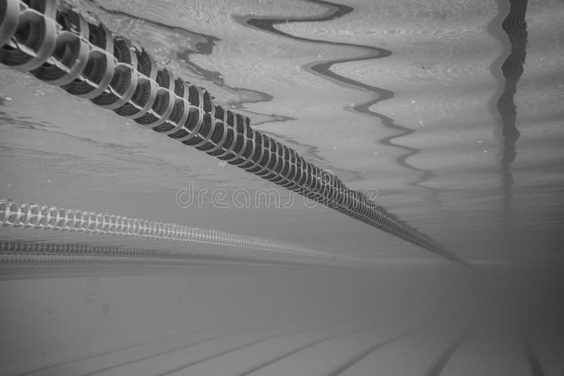 Swimming Pool Floating Wave-Breaking Lane Line Stock Photo - Image of ...