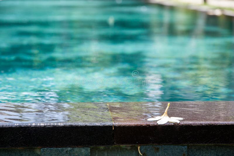Swimming Pool stock photo. Image of relax, south, jasmine - 63543368