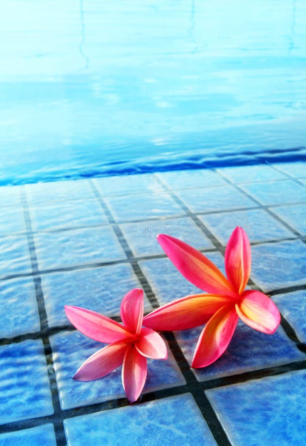 Swimming Pool and Flowers, Tropical Resorts Hotel Stock Image - Image ...