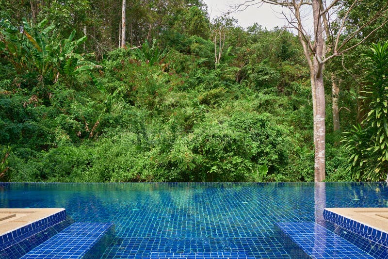 Swimming Pool with Forest in Daytime Stock Photo - Image of leisure ...