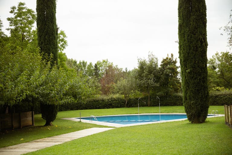 Swimming Setting Stock Illustrations – 17,648 Swimming Setting Stock ...