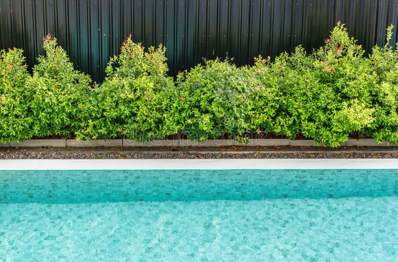 Swimming Pool with the Garden Tree by Metal Wall Stock Photo - Image of ...