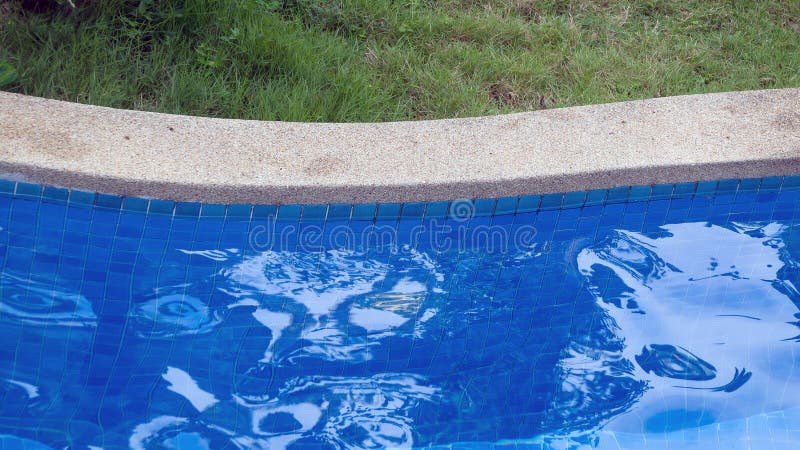 Swimming Pool and Green Lawn in the Villa Stock Photo - Image of ...