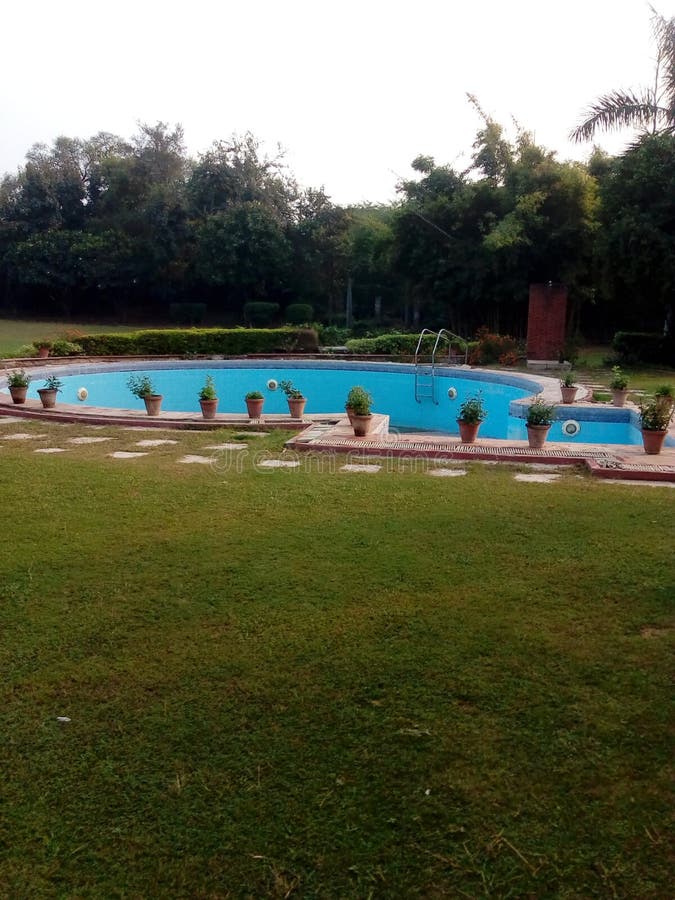 Swimming Pool and Green Park Stock Photo - Image of park, looking ...