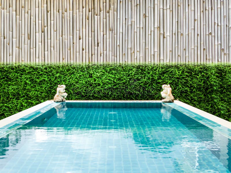 Swimming Pool and Green Plant Bamboo Background Stock Image - Image of ...