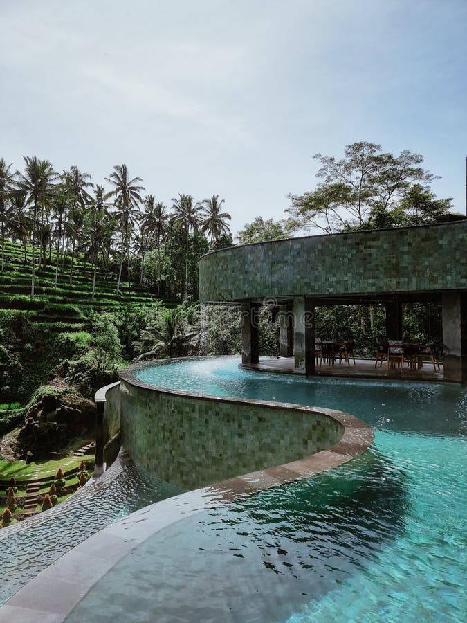 Swimming Pool with Green Rice Field Terrace at Ubud Editorial Image ...