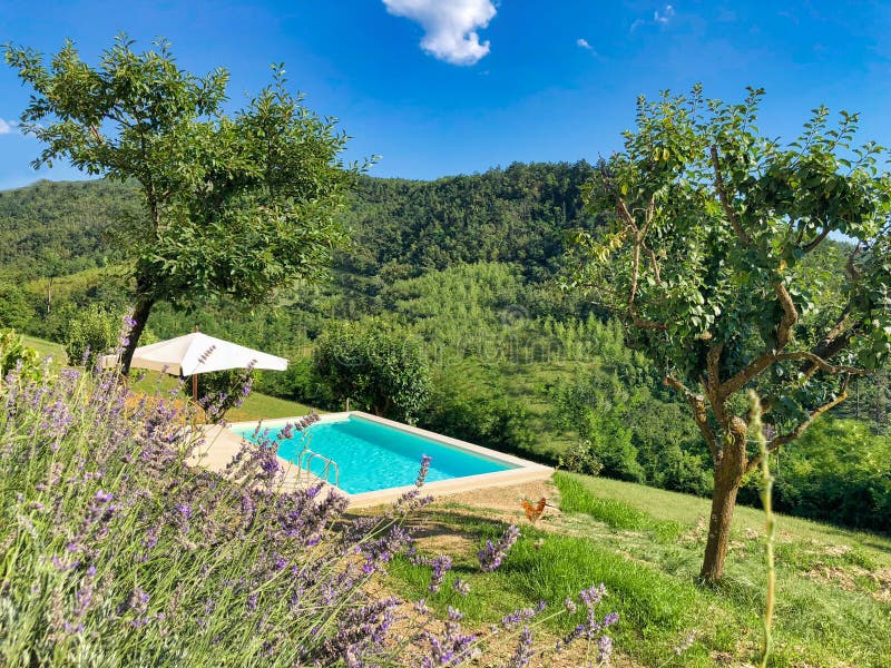 Swimming Pool on a Hill among Trees and Flowers Stock Photo - Image of ...