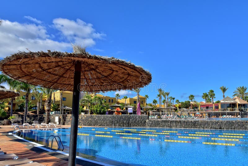 Swimming Pool in a Holiday Resort Stock Photo - Image of hotel, tree ...