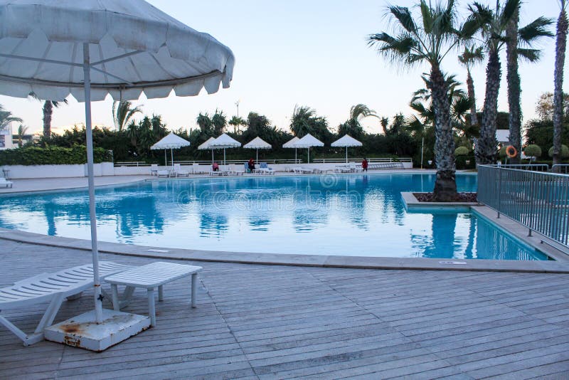 Swimming Pool Landscape and Palm Trees Stock Photo - Image of estate ...