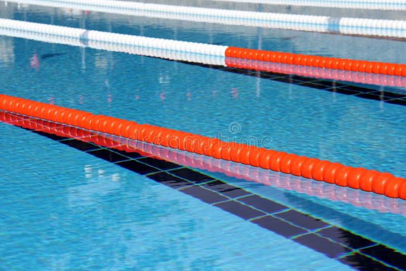 Swimming pool lane Ropes stock photo. Image of lane, dive - 55201996