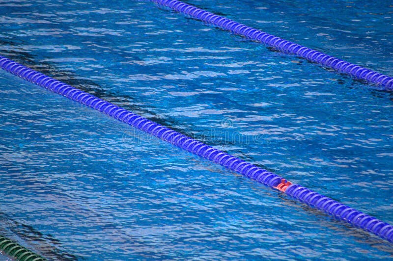 Swimming pool lanes stock photo. Image of swimmer, sport - 49894924