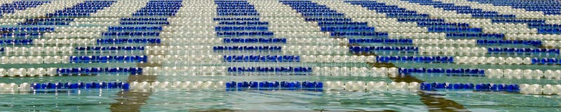 Swimming Pool Lap Lanes Picture. Image: 24974688