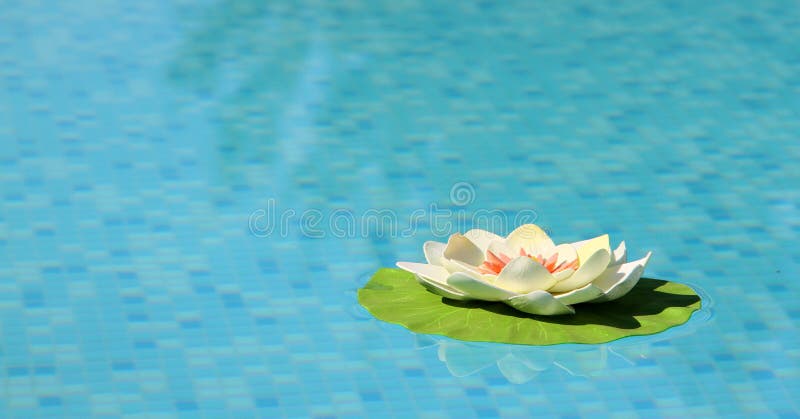 Swimming pool stock photo. Image of outdoor, swimming - 33884354