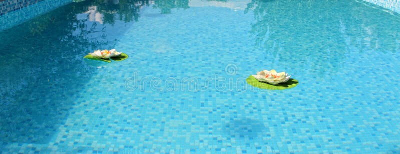 Swimming pool stock photo. Image of flower, luxury, flowers - 33884242
