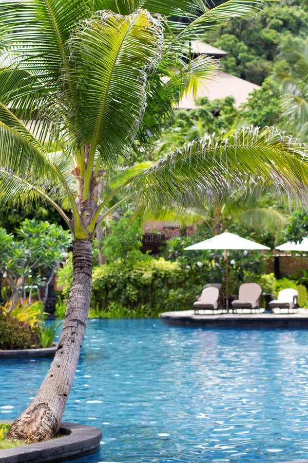 Swimming Pool in Luxury Resort Stock Image - Image of boracay, leisure ...