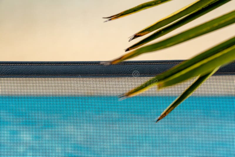 Swimming Pool through a Mandatory Safety Net on the Edges of a Private ...