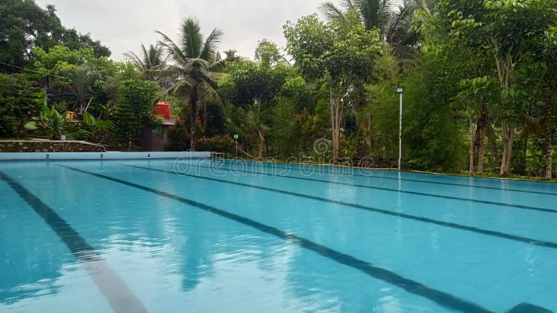 Swimming Pool in the Middle of the Forest Stock Image - Image of forest ...