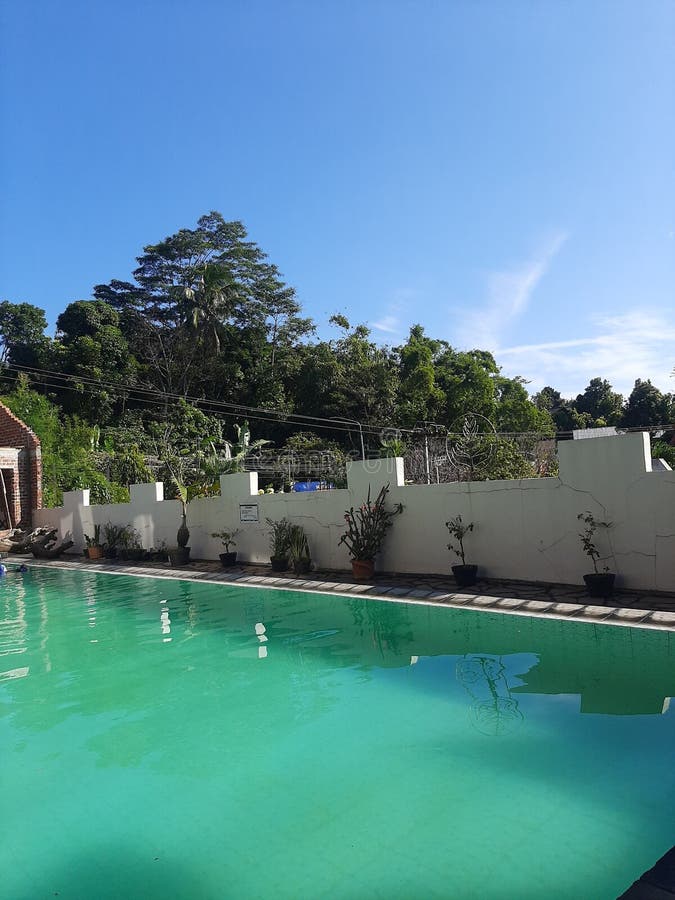 Swimming Pool in the Middle of Mountains with Lots of Trees Stock Image ...