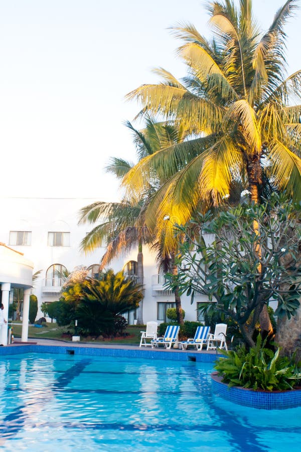 Swimming pool in morning stock image. Image of travel - 32662589