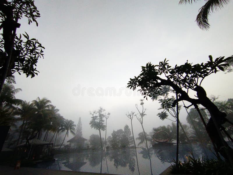 Swimming Pool at Morning with White Fogging Stock Image - Image of fogg ...