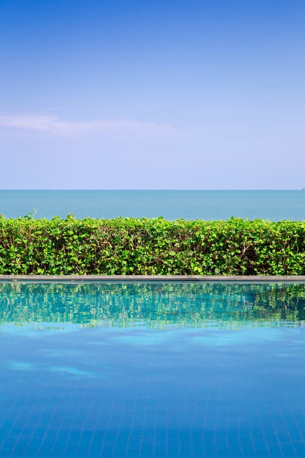 Swimming Pool stock image. Image of clean, landscape - 61977093