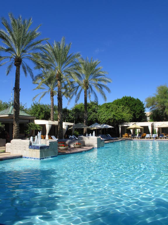Swimming Pool and Palm Trees Stock Photo - Image of palm, sling: 12361816