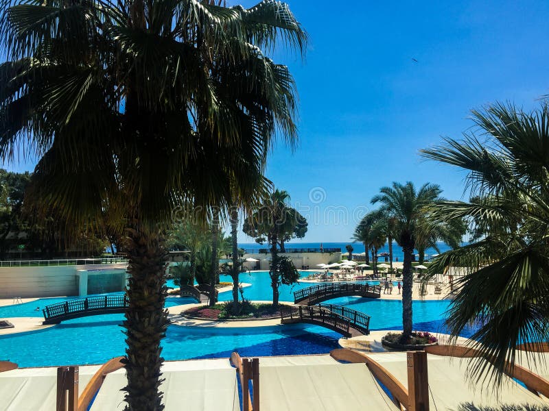 Swimming Pool With Palm Trees Stock Image - Image of beach, holiday ...