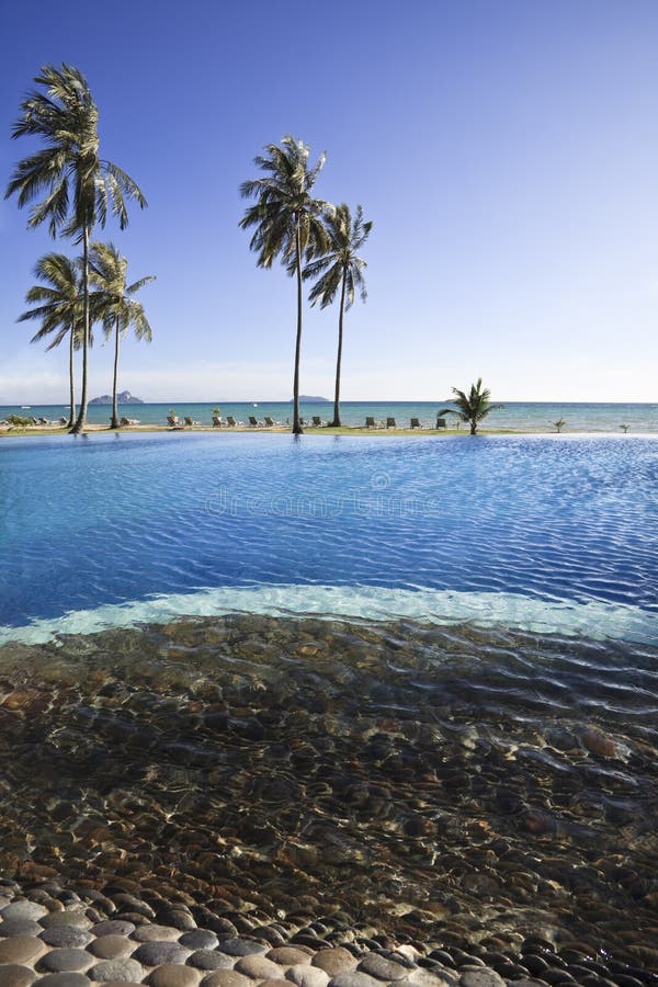 Swimming Pool and Palm Trees. Stock Photo - Image of white, horizontal ...