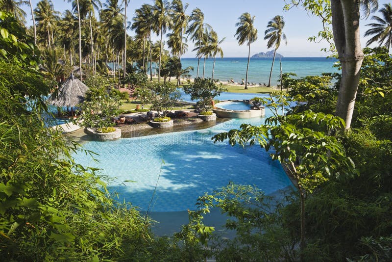 Swimming Pool and Palm Trees. Stock Photo - Image of beauty, pool: 13549304